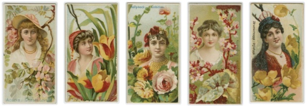Floriography: Learn about the hidden meaning of flowers